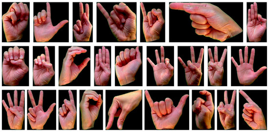 Investigating Effective Geometric Transformation for Image Augmentation ...