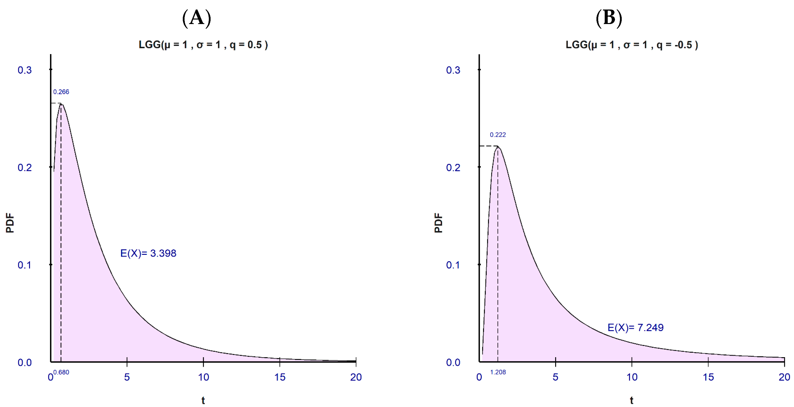 A Generalized Log Gamma Approach: Theoretical Contributions and an ...
