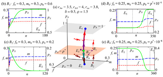 The Evolutionary Dynamics of a Sex-Structured Population with Non ...
