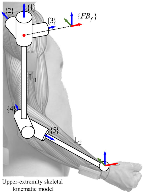 Upper Extremity Motion-Based Telemanipulation with Component-Wise Rescaling of Spatial Twist and ...