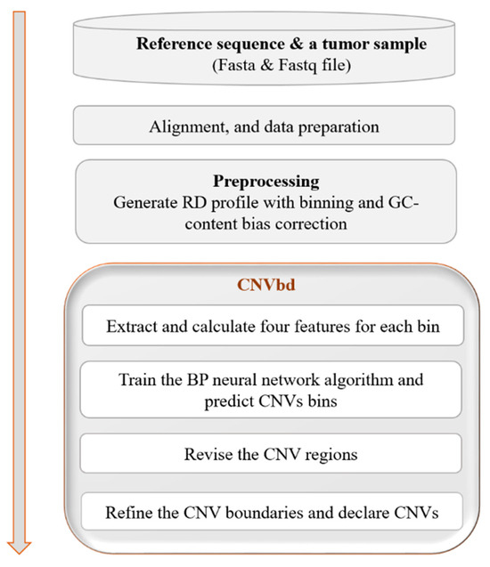 Mathematics | Free Full-Text | CNVbd: A Method for Copy Number Variation Detection and Boundary ...