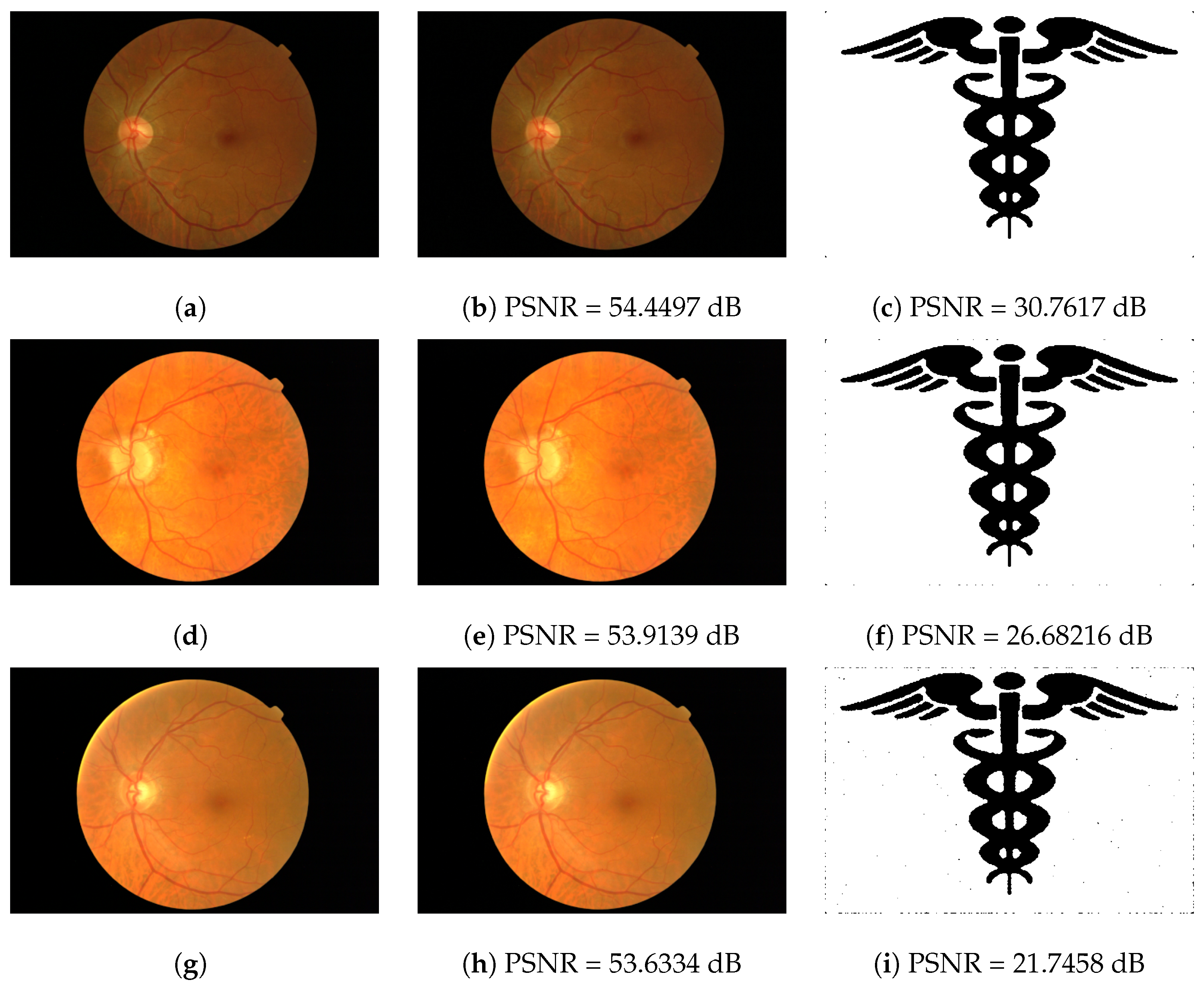 Mathematics | Free Full-Text | Bio-Inspired Watermarking Method for ...