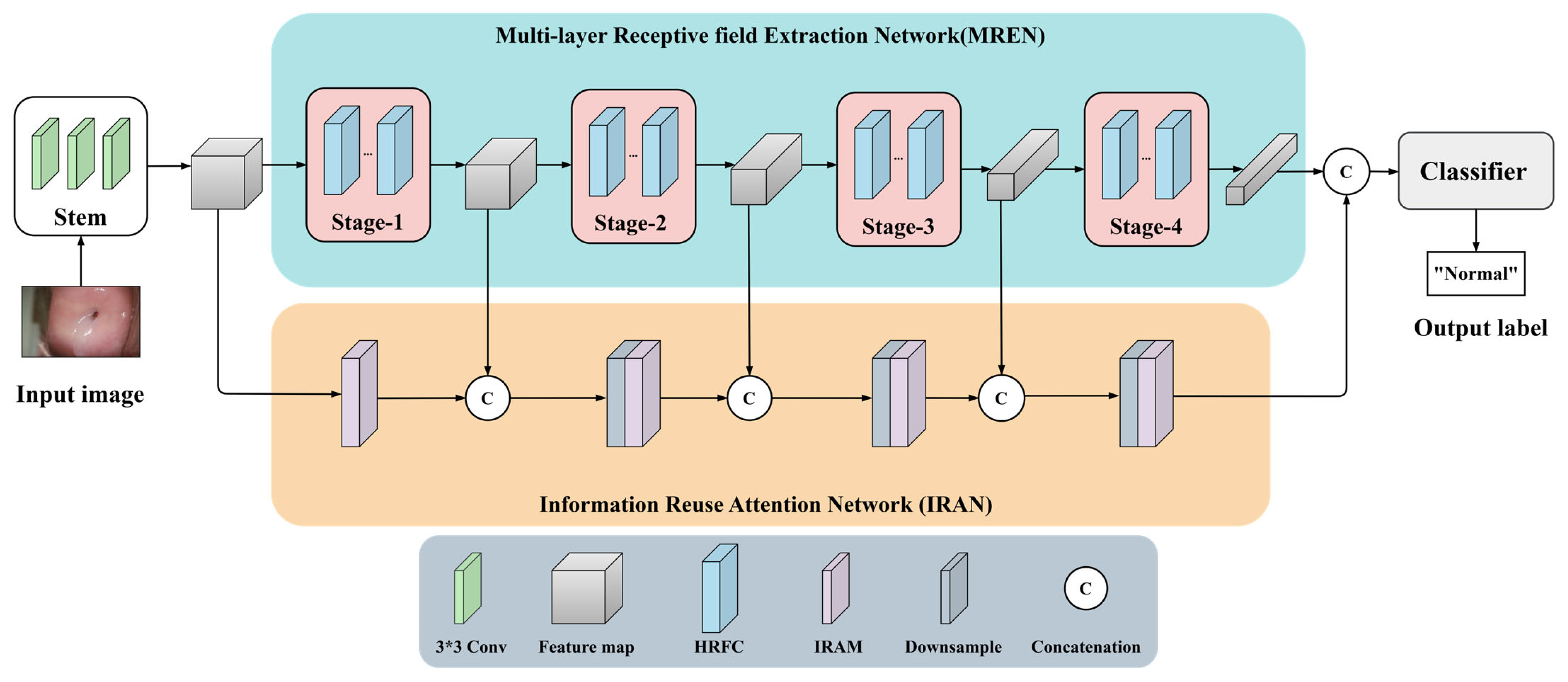FMA-Net: Fusion of Multi-Scale Attention for Grading Cervical ...