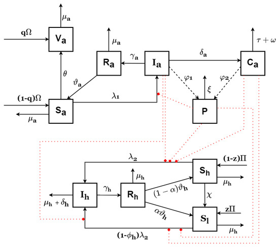 A Risk-Structured Model for the Transmission Dynamics of Anthrax Disease