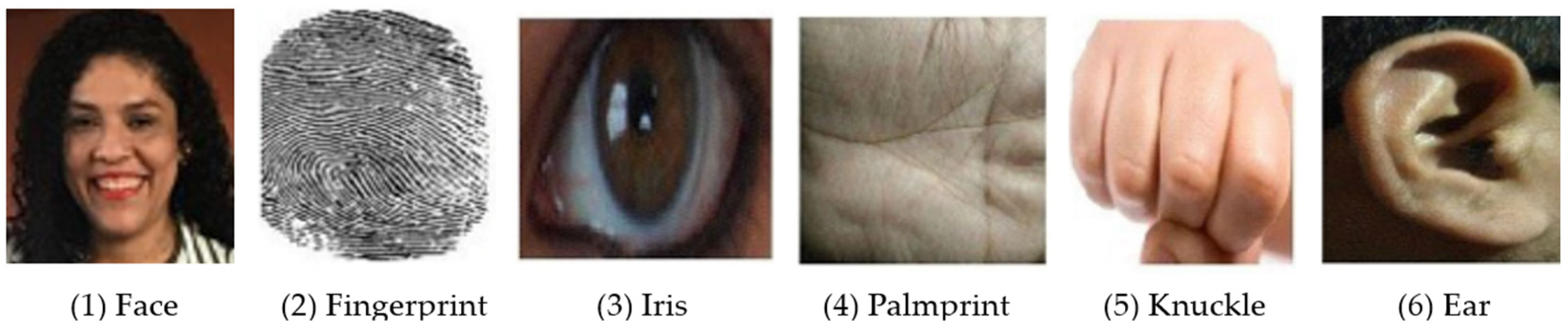 Method for Human Ear Localization in Controlled and Uncontrolled ...
