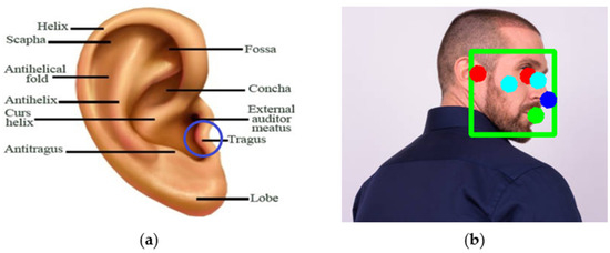 Method for Human Ear Localization in Controlled and Uncontrolled ...