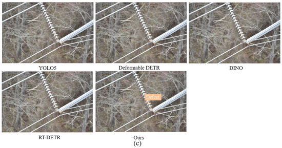 Optimizing Insulator Defect Detection with Improved DETR Models