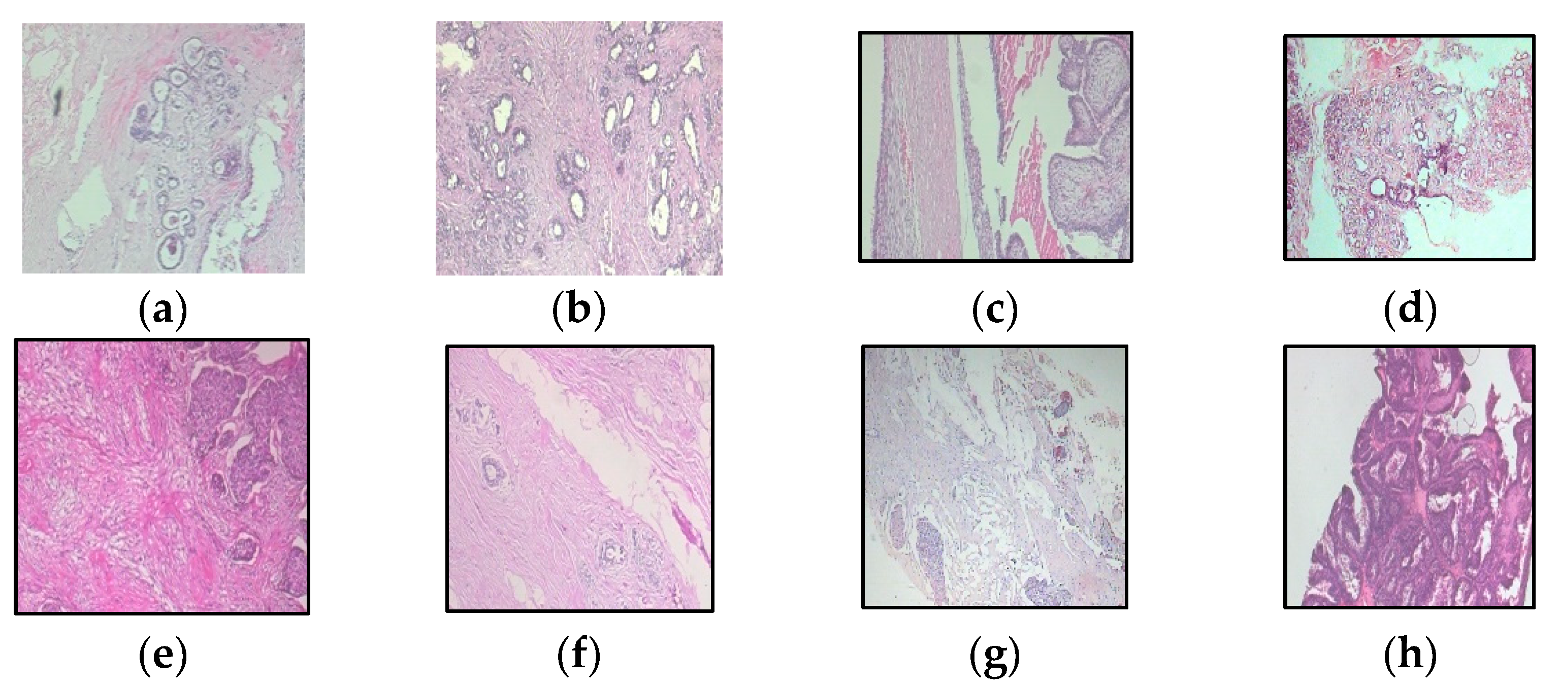 Mathematics | Free Full-Text | Semi-Supervised Medical Image ...
