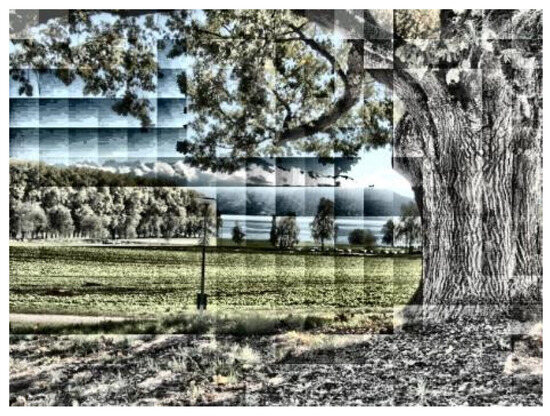 Retinex Jointed Multiscale CLAHE Model for HDR Image Tone Compression