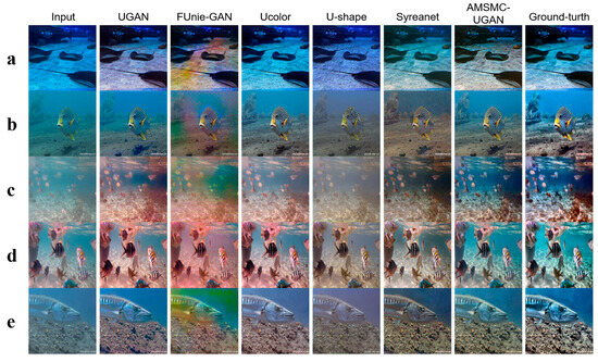 AMSMC-UGAN: Adaptive Multi-Scale Multi-Color Space Underwater Image Enhancement with GAN-Physics ...