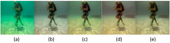 AMSMC-UGAN: Adaptive Multi-Scale Multi-Color Space Underwater Image ...