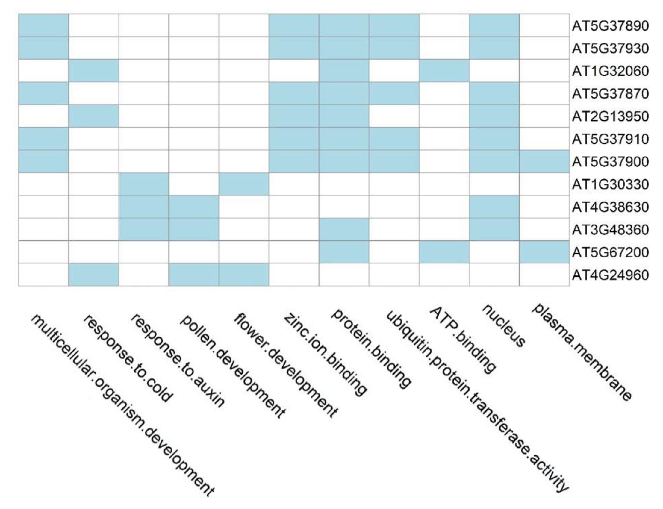 An Improved Expectation–Maximization Bayesian Algorithm for GWAS