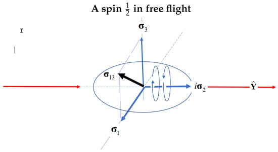 Quaternion Spin