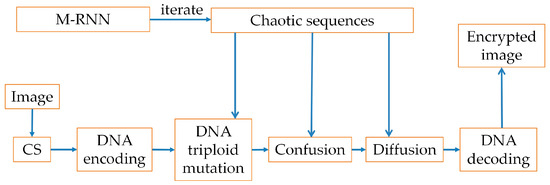 A Universal Image Compression Sensing–Encryption Algorithm Based on DNA-Triploid Mutation