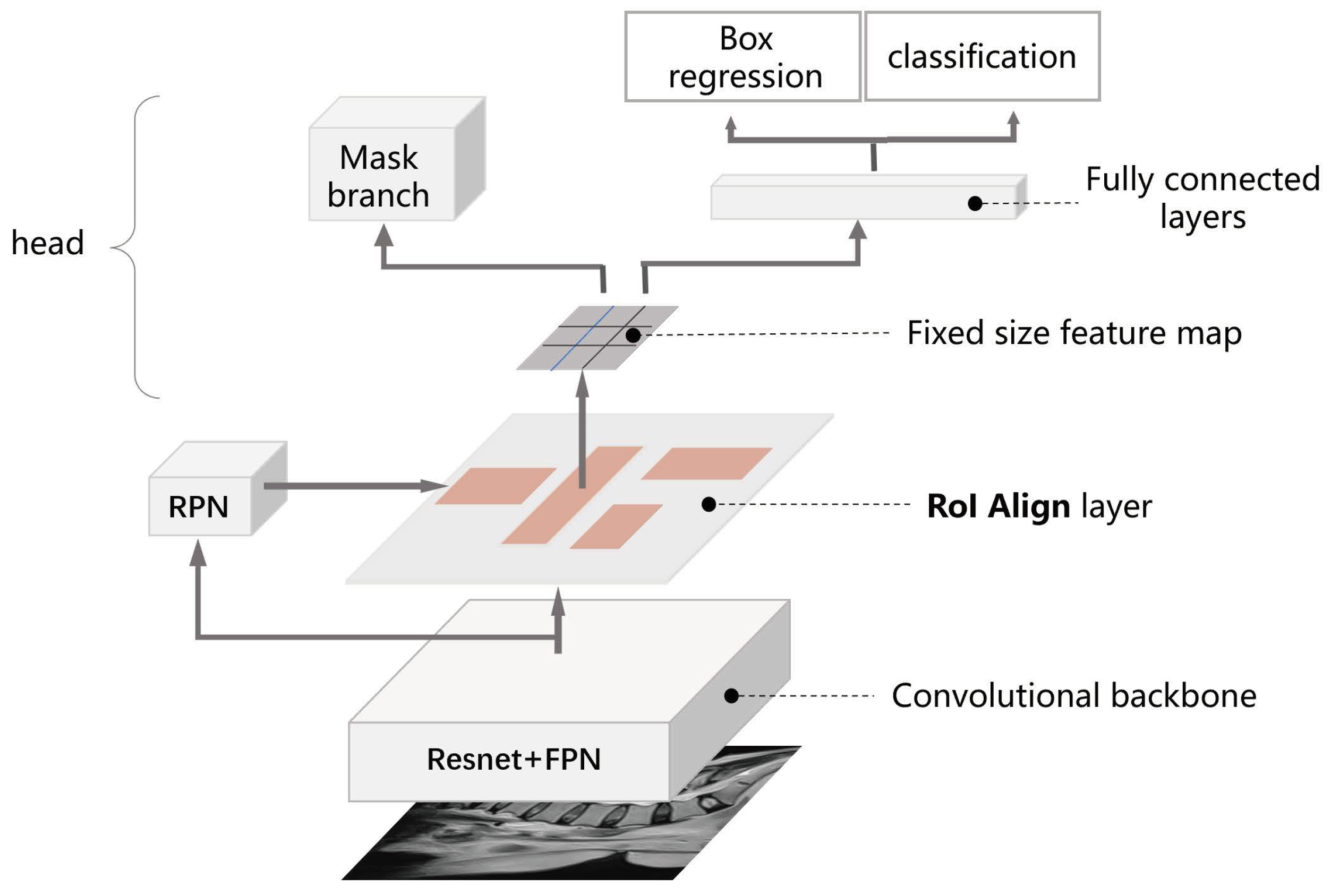 Deep Learning-Based Intelligent Diagnosis of Lumbar Diseases with Multi ...
