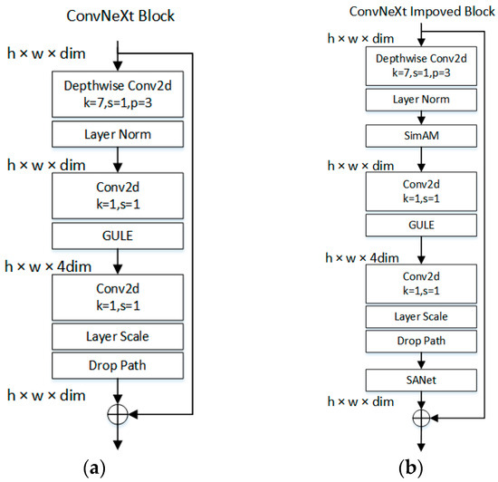 SA-ConvNeXt: A Hybrid Approach for Flower Image Classification Using Selective Attention Mechanism