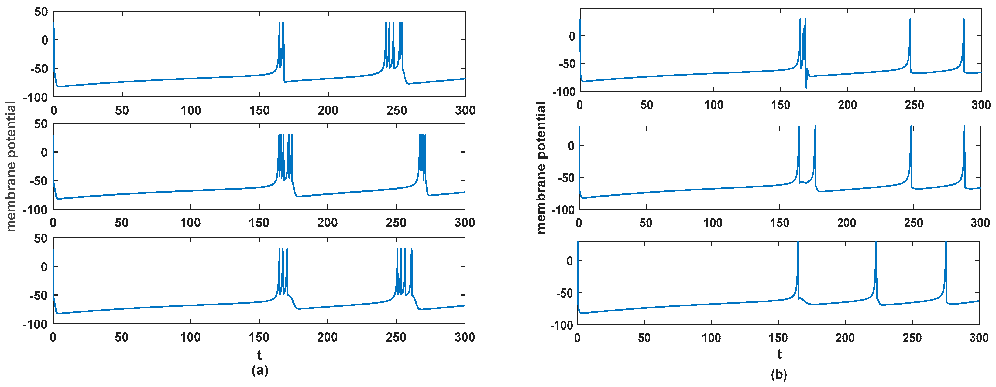 A Novel Coupled Memristive Izhikevich Neuron Model and Its Complex Dynamics
