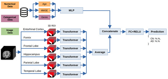 Multiple Inputs and Mixed Data for Alzheimer’s Disease Classification ...