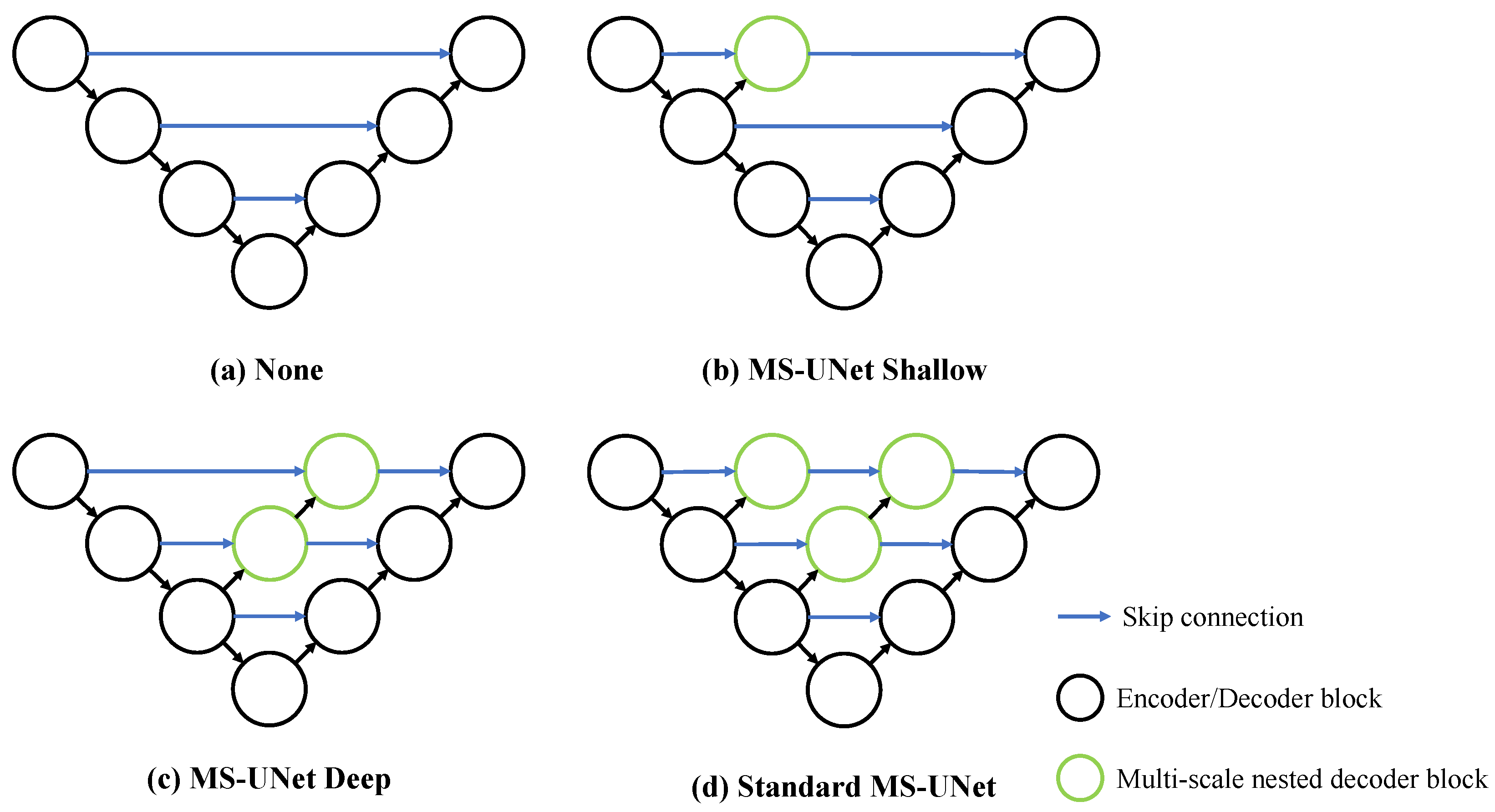 MS-UNet: Multi-Scale Nested UNet for Medical Image Segmentation with Few Training Data Based on ...