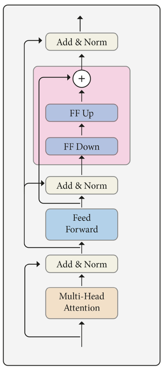 Efficient Adaptation: Enhancing Multilingual Models for Low-Resource Language Translation