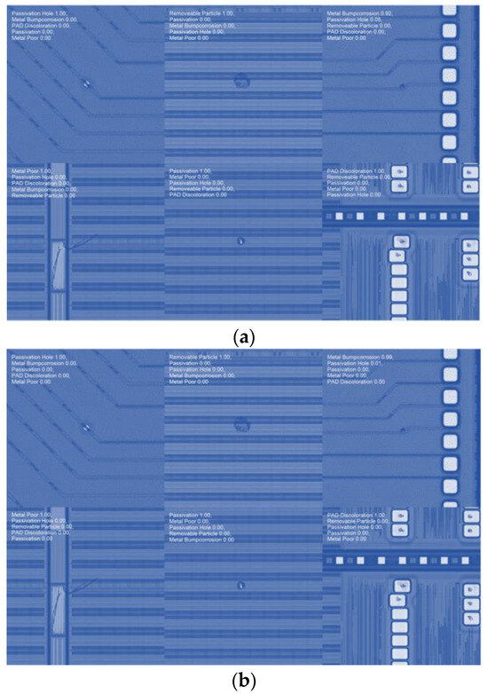 Elevating Wafer Defect Inspection with Denoising Diffusion ...
