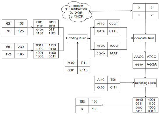 Fast Color Image Encryption Algorithm Based on DNA Coding and Multi-Chaotic Systems