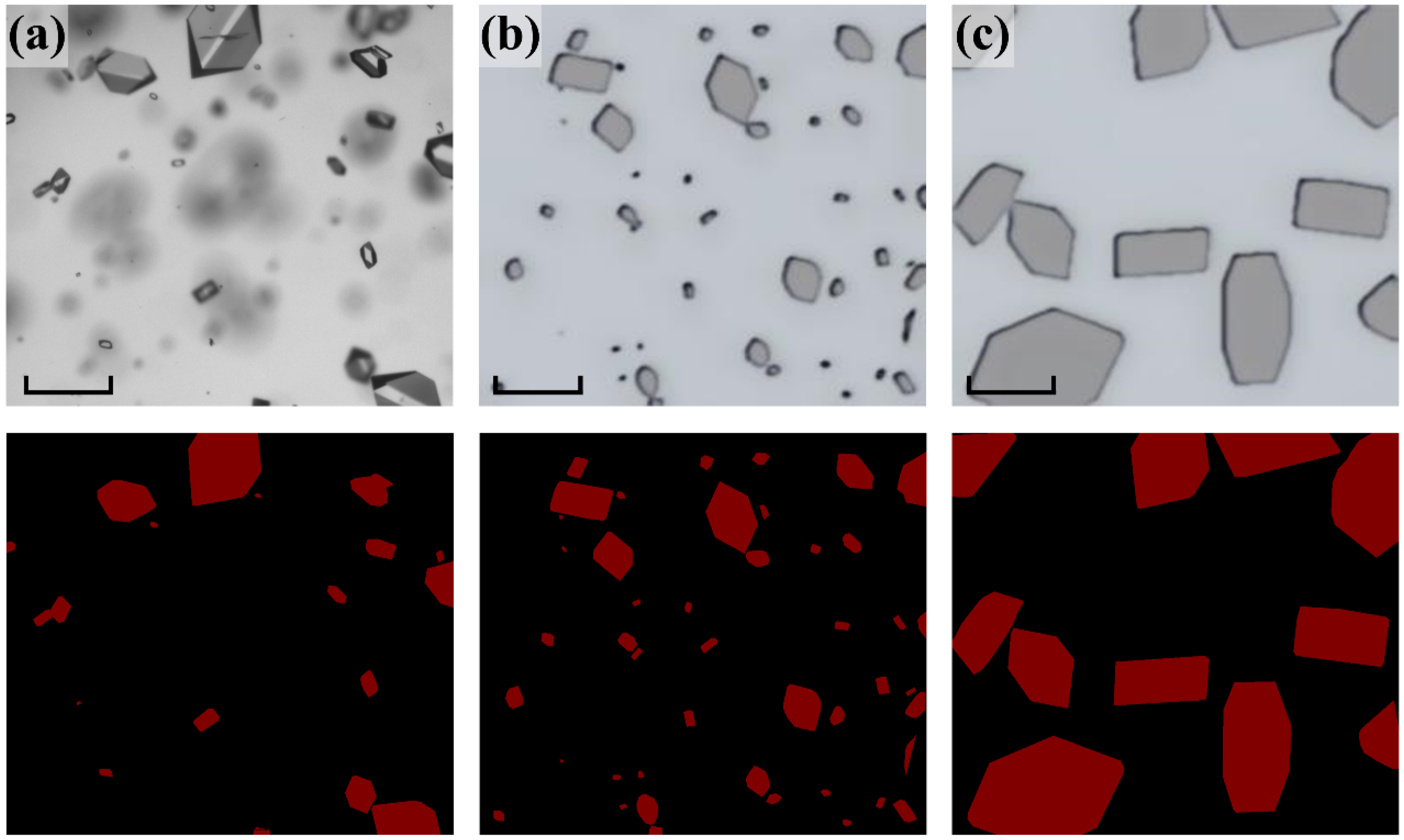 Deep Learning-Based In Situ Micrograph Synthesis and Augmentation for ...