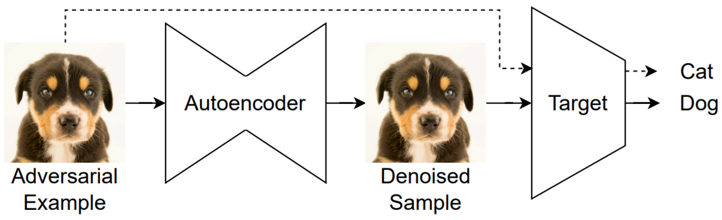 Dynamic-Max-Value ReLU Functions for Adversarially Robust Machine ...
