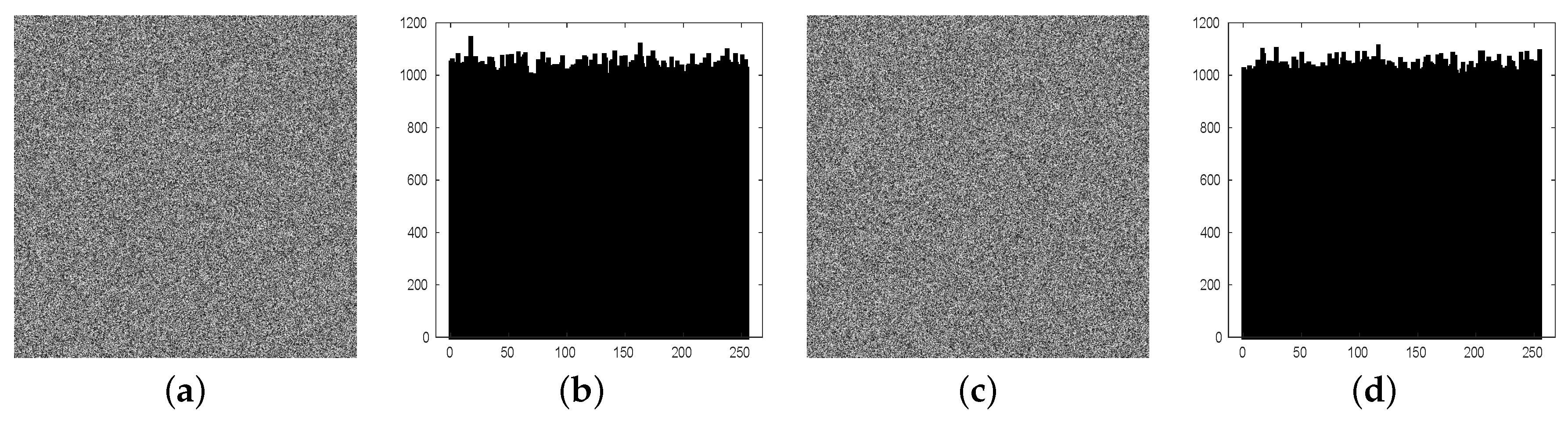 Drone-Captured Wildlife Data Encryption: A Hybrid 1D–2D Memory Cellular Automata Scheme with ...