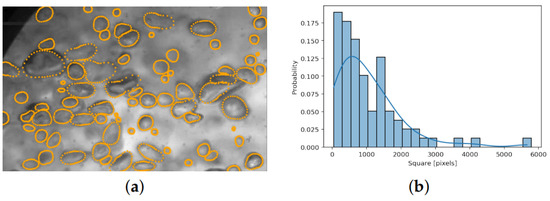 Bubble Detection in Multiphase Flows Through Computer Vision and Deep ...