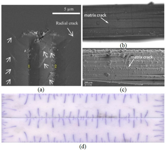 Review of Experimental, Theoretical and Numerical Advances in Multi ...