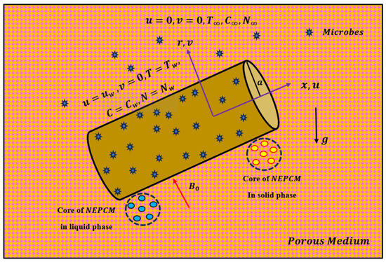 Bioconvective Flow Characteristics of NEPCM–Water Nanofluid over an ...
