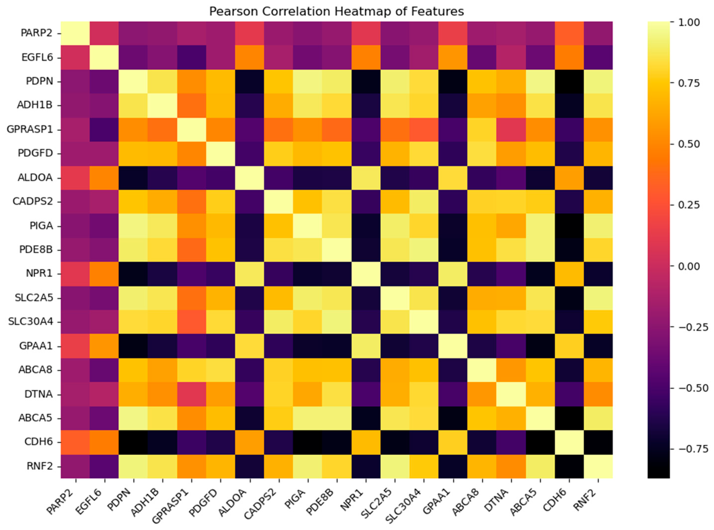 An Integrated Algorithm with Feature Selection, Data Augmentation, and XGBoost for Ovarian Cancer