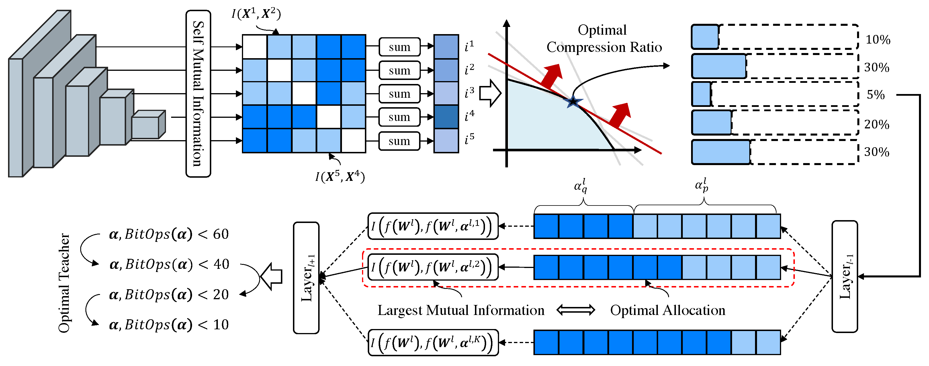 Probabilistic Automated Model Compression via Representation Mutual Information Optimization