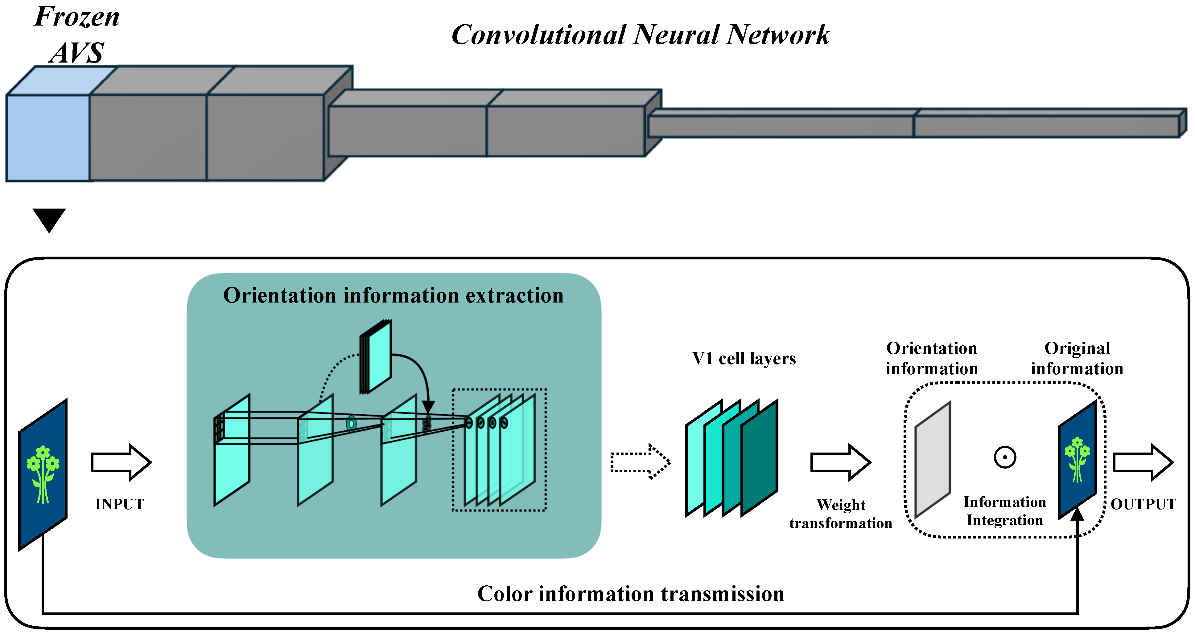 Enhancing Convolutional Neural Network Robustness Against Image Noise via an Artificial Visual ...