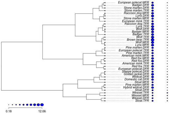 Stochastic Modeling of Adaptive Trait Evolution in Phylogenetics: A Polynomial Regression and ...