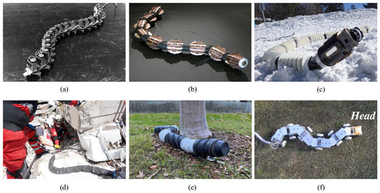 A Review on the Recent Development of Planar Snake Robot Control and ...