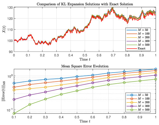 Analytical And Computational Investigations Of Stochastic Functional