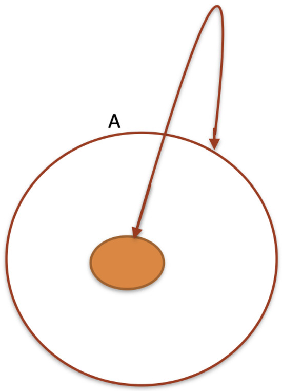 Reflexivity and Duplicability in Set Theory