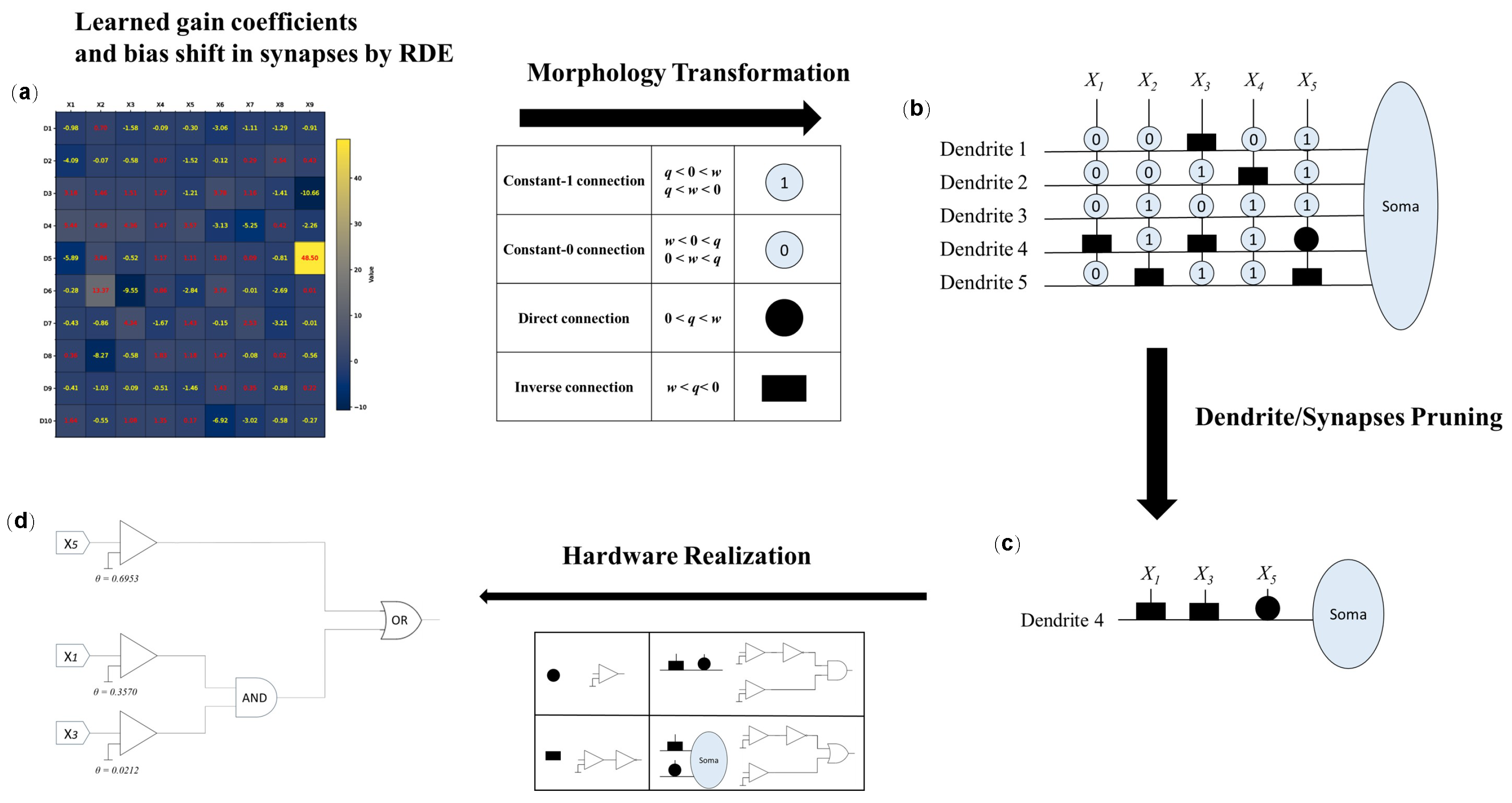 Toward Next-Generation Biologically Plausible Single Neuron Modeling: An Evolutionary Dendritic ...