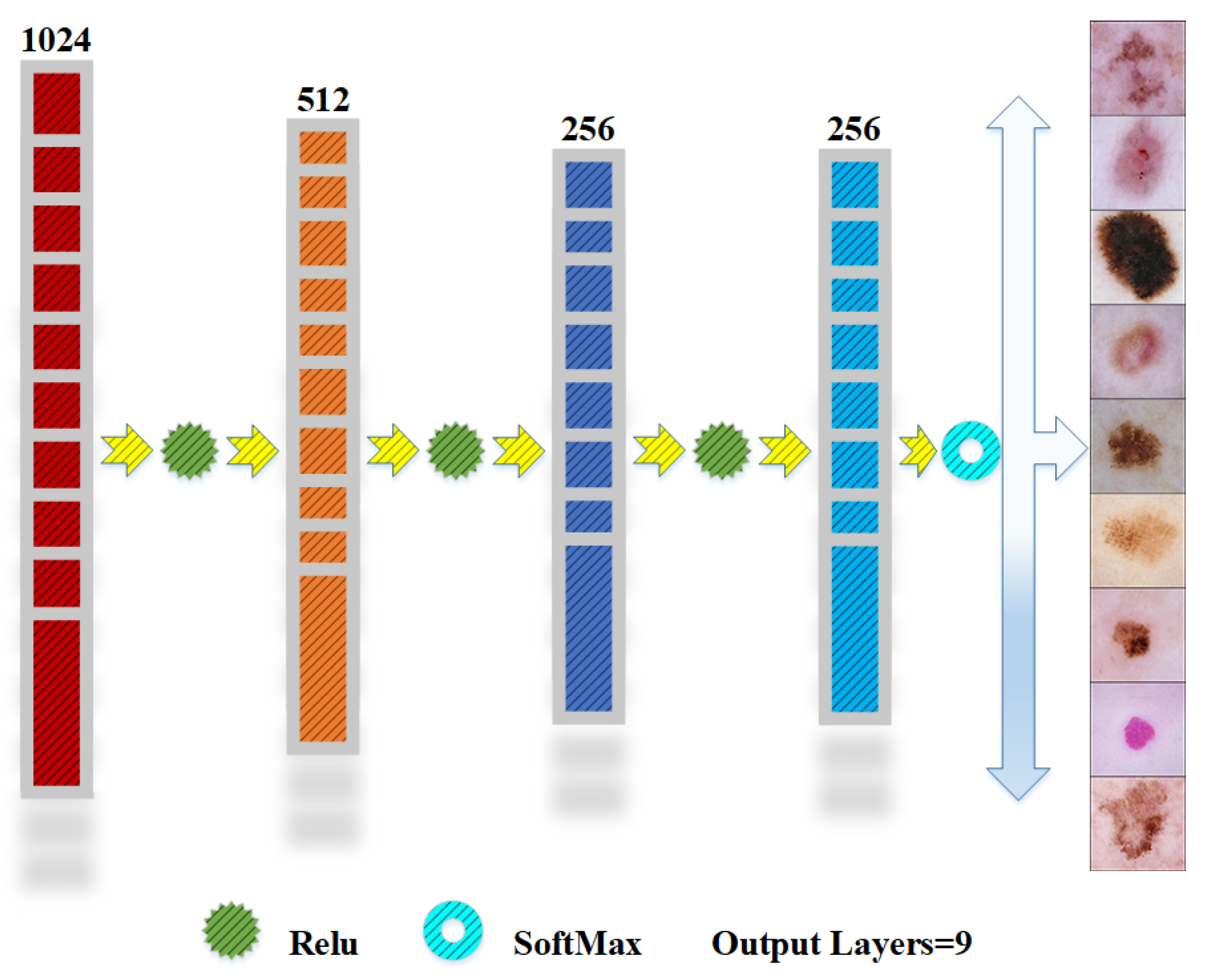 Enhancing Recognition and Categorization of Skin Lesions with Tailored Deep Convolutional ...