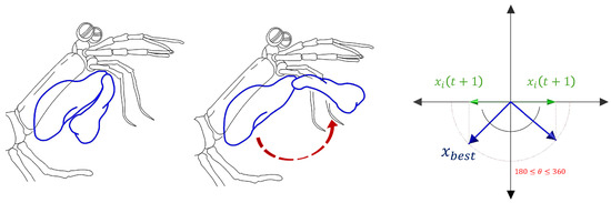 A Novel Bio-Inspired Optimization Algorithm Based on Mantis Shrimp Survival Tactics