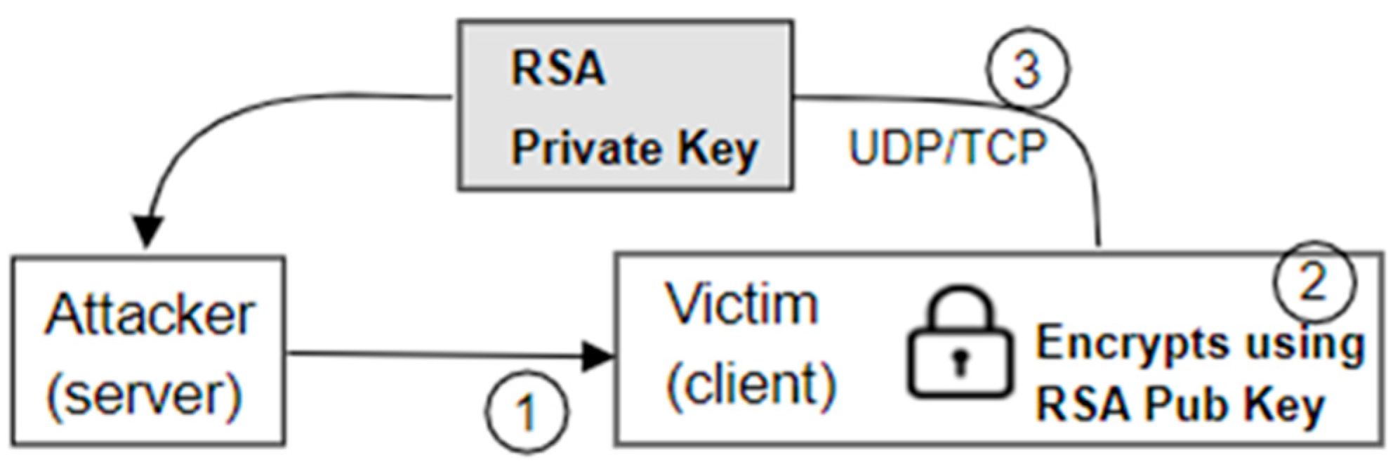 Crypto-Ransomware Detection Through a Honeyfile-Based Approach with R-Locker