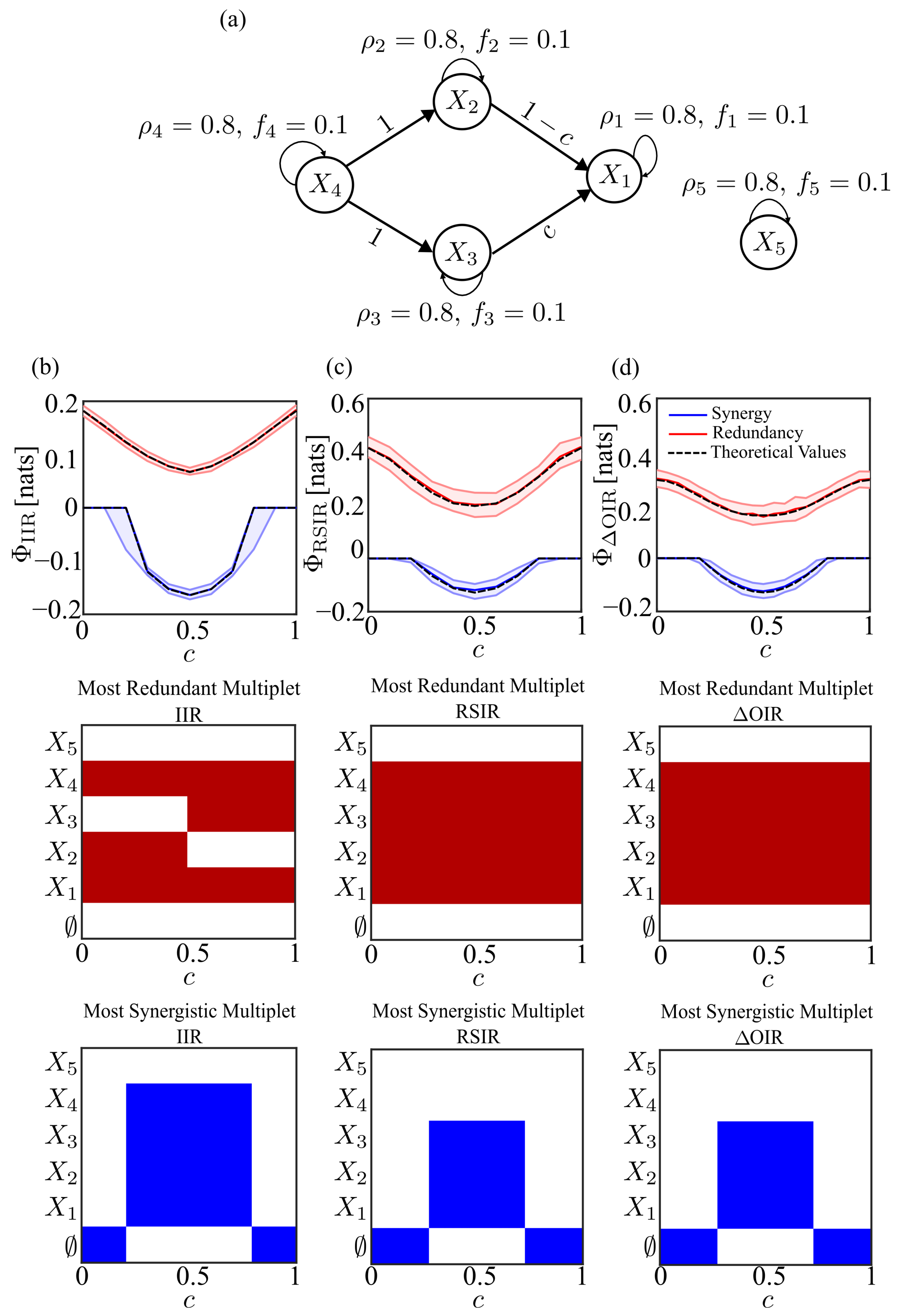 Information-Theoretic Sequential Framework to Elicit Dynamic High-Order ...