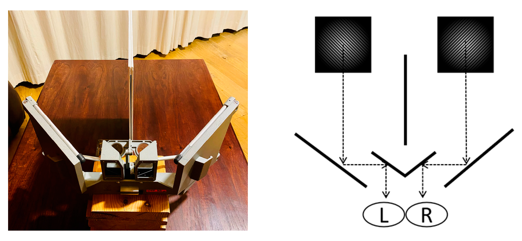 Inducing Perceptual Dominance with Binocular Rivalry in a Virtual ...