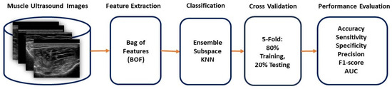 Bag of Feature-Based Ensemble Subspace KNN Classifier in Muscle Ultrasound Diagnosis of Diabetic ...