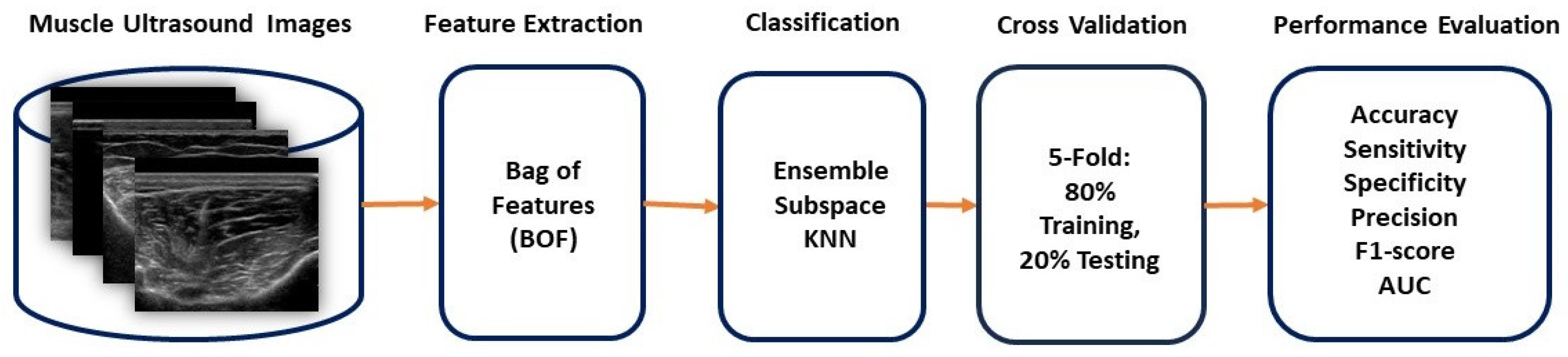 Bag of Feature-Based Ensemble Subspace KNN Classifier in Muscle ...