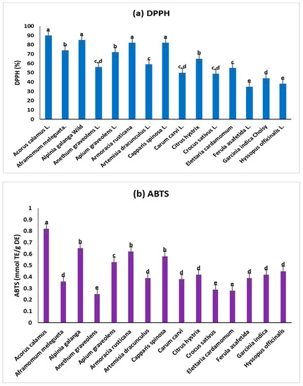 In Vitro Antioxidant and Bactericidal Efficacy of 15 Common Spices ...