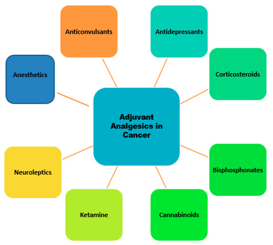 Molecular Basis of Cancer Pain Management: An Updated Review