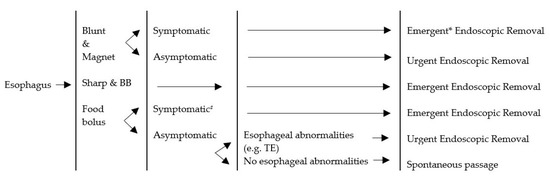 Foreign Body Ingestion in Pediatrics: Distribution, Management and ...
